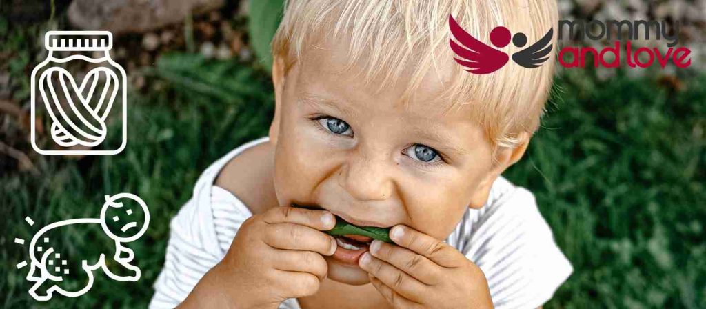 Can Pickles Cause Diaper Rash? - Mommy and Love