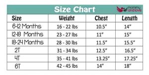 Is 2t The Same As 24 Months- Clothing Sizes Explained - Raising ...