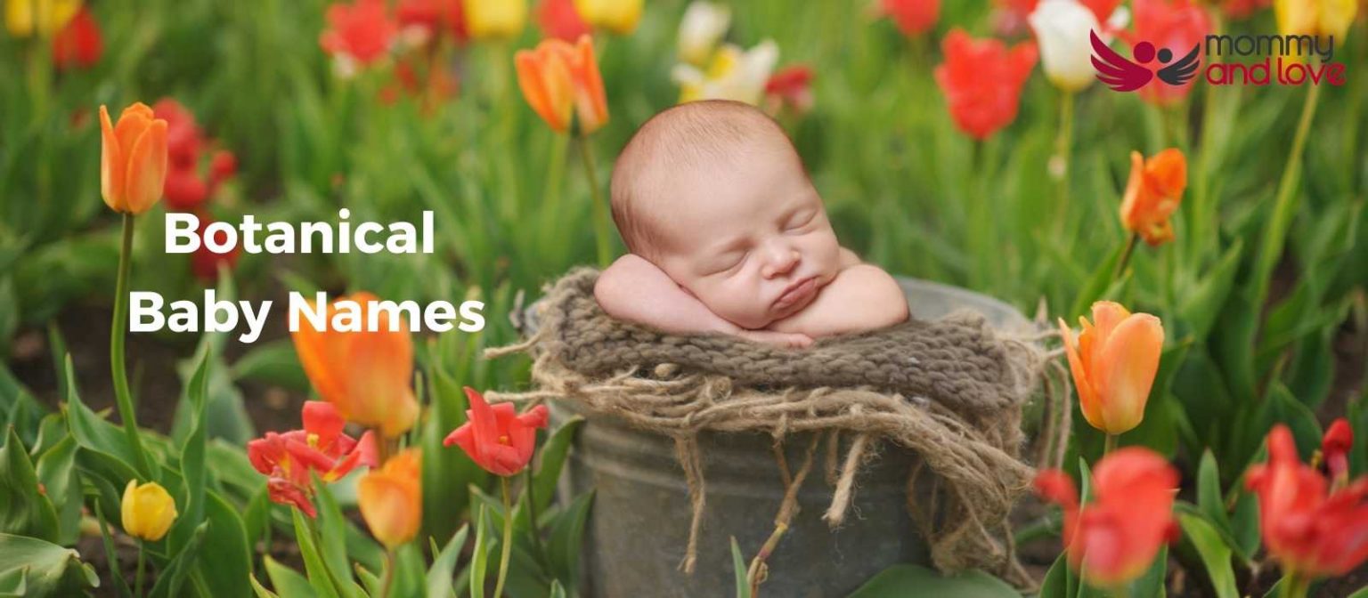 Botanical Baby Names: Inspired by Flowers and Plants - Mommy and Love