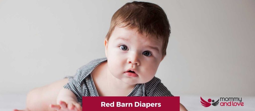 Red Barn Diapers - Mommy and Love
