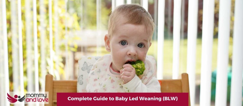 Complete Guide to Baby Led Weaning (BLW) - Mommy and Love