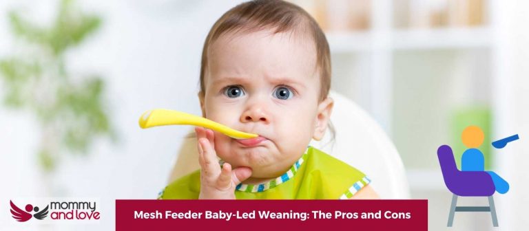 Mesh Feeder Baby-Led Weaning: The Pros and Cons - Mommy and Love
