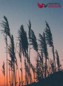 61 Names That Mean Storm, Lightning, Sky or Thunder: A Collection of ...